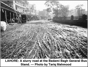 Badami Bagh bus stand the dirtiest - Newspaper - DAWN.COM