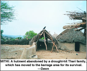 MITHI: Market forces exploit drought-hit Tharis - Newspaper - DAWN.COM