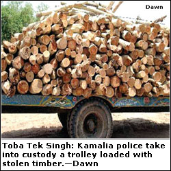Timber theft on the rise - Newspaper - DAWN.COM