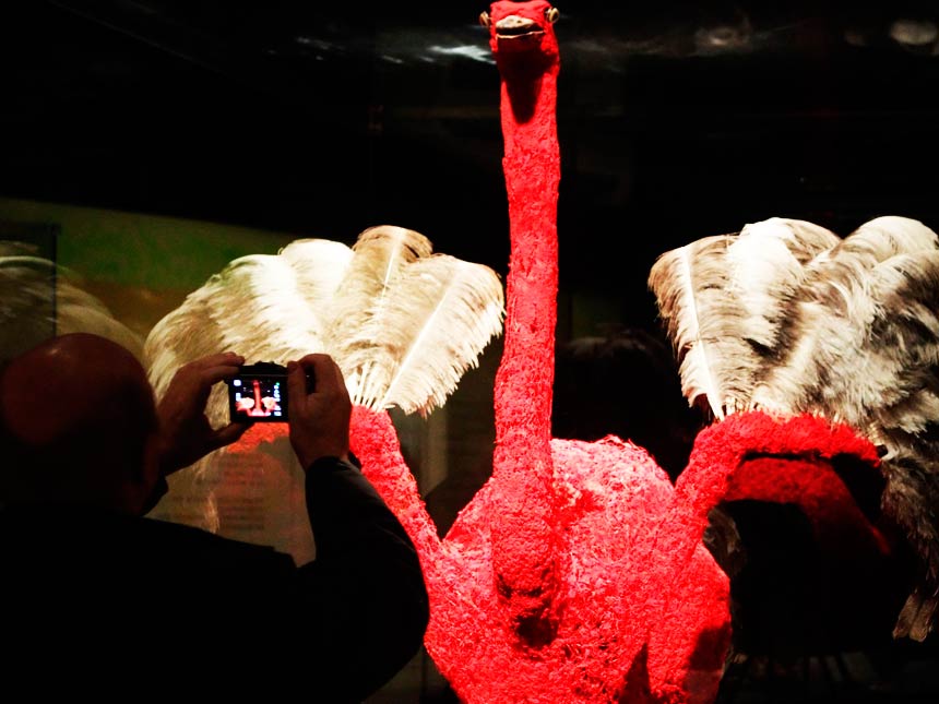 How plastinating - DAWN.COM