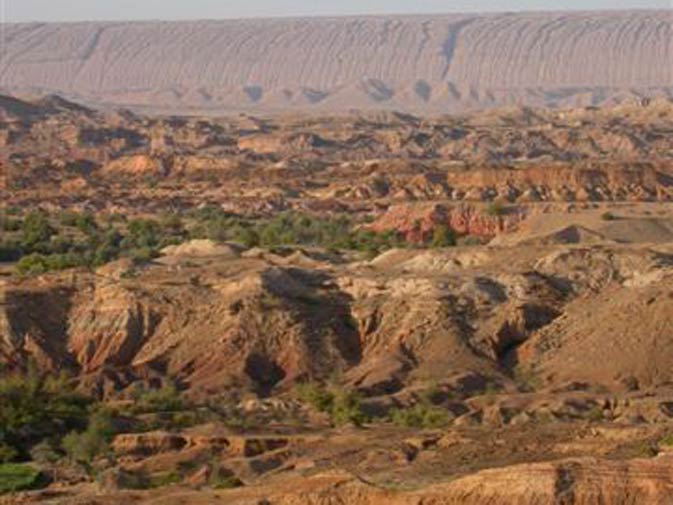 Baluchitherium: The largest land mammal - DAWN.COM