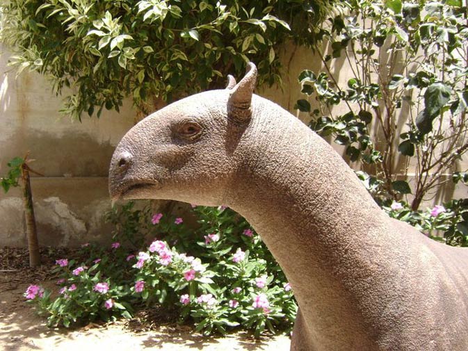 Baluchitherium: The largest land mammal - DAWN.COM