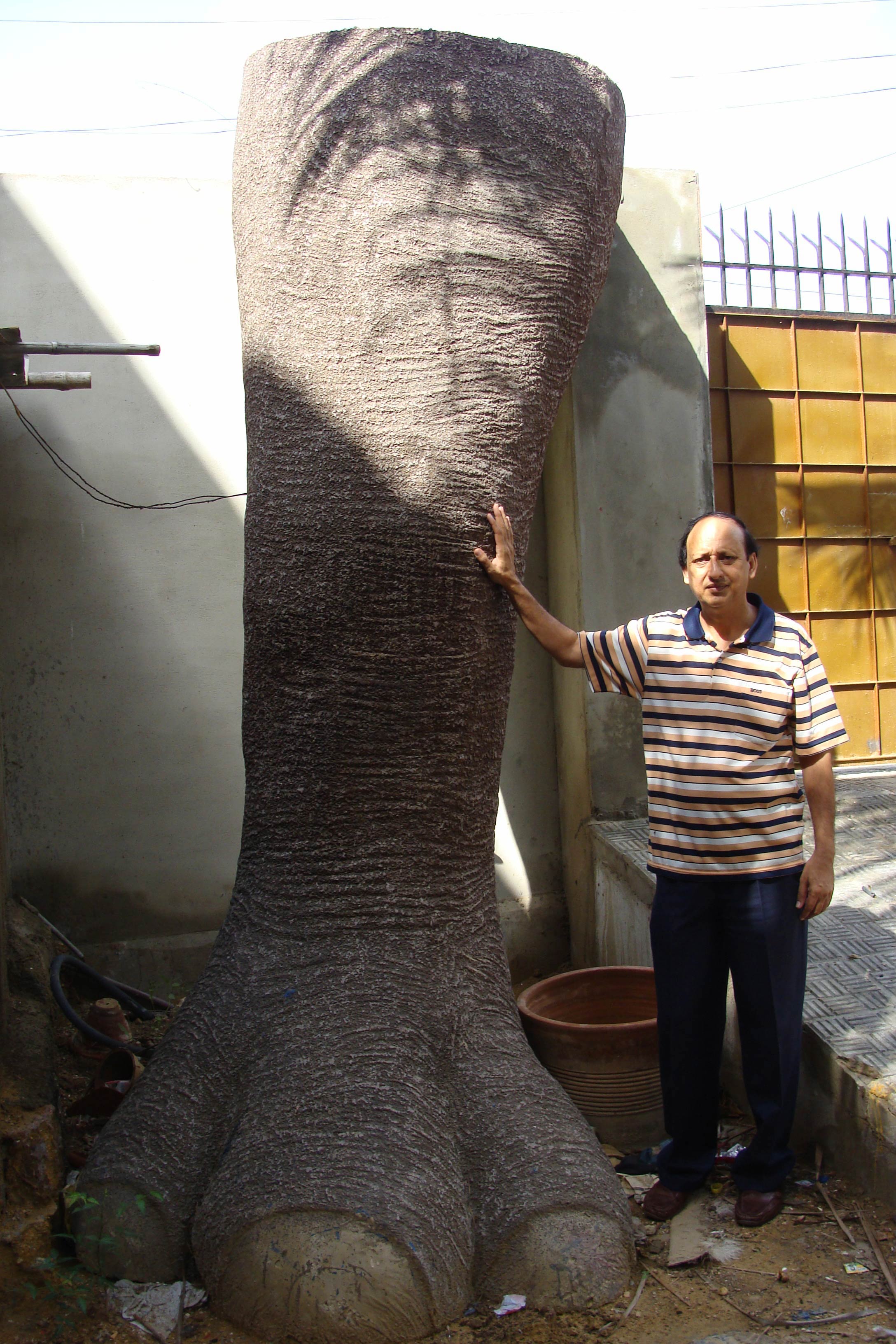 Baluchitherium: The largest land mammal - DAWN.COM