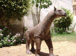 Baluchitherium: The largest land mammal - Pakistan - DAWN.COM