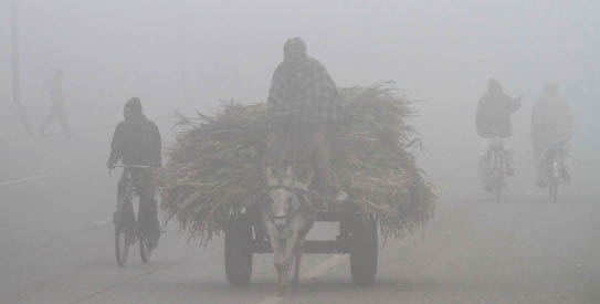 Seventeen killed in accidents caused by dense fog - Pakistan - DAWN.COM