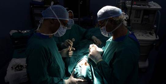 Scientists grow blood vessels for human surgery - DAWN.COM