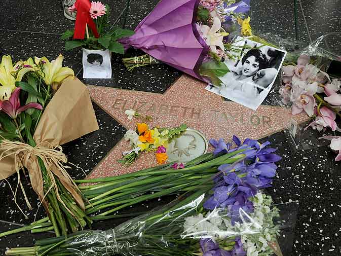 Elizabeth Taylor: The violet-eyed film goddess - DAWN.COM