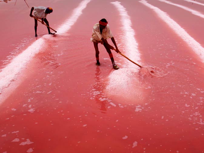 A pinch of salt - Pakistan - DAWN.COM