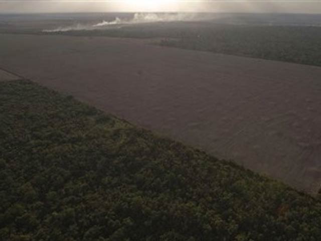 Amazon Basin shifting to carbon emitter: study - DAWN.COM