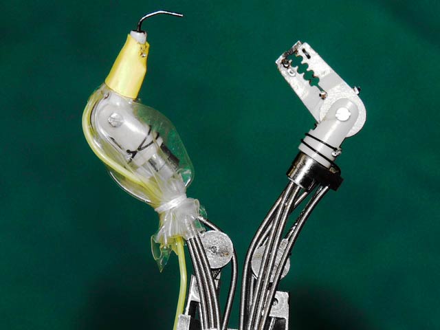 Experts build crab-like robot to remove stomach cancer - DAWN.COM