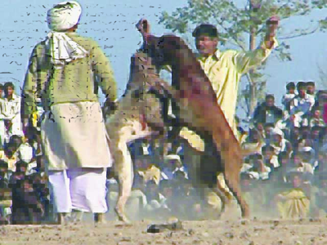 Costly jeeps, sophisticated weapons and dog fights - Pakistan - DAWN.COM