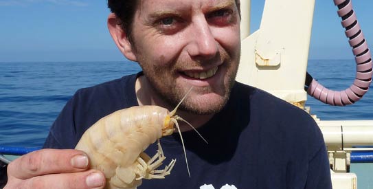 Scientists snare ‘superprawn’ off New Zealand - DAWN.COM