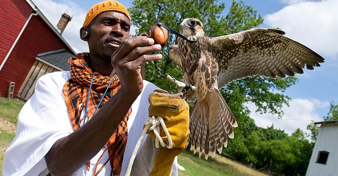 Falcons, and their handler, inspire at-risk US youth - World - DAWN.COM