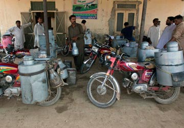Pakistan pioneers lead epic struggle for more milk - Pakistan - DAWN.COM