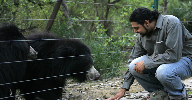 India's 'dancing bears' retire in animal rights victory - World - DAWN.COM