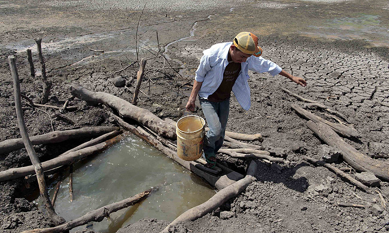 Against our nature - World - DAWN.COM