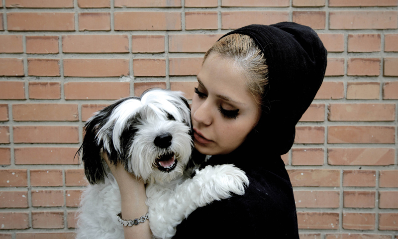 Iran challenges pet trade on 'Islamic grounds' - World - DAWN.COM