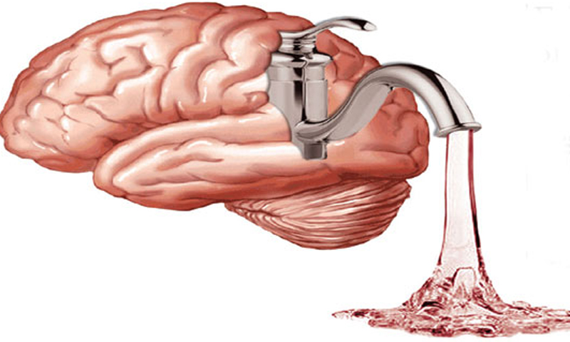 Key industries hit by talent crunch and brain drain - Business - DAWN.COM