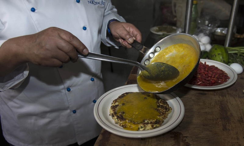 Mosquito eggs: appetizing or not? - Multimedia - DAWN.COM