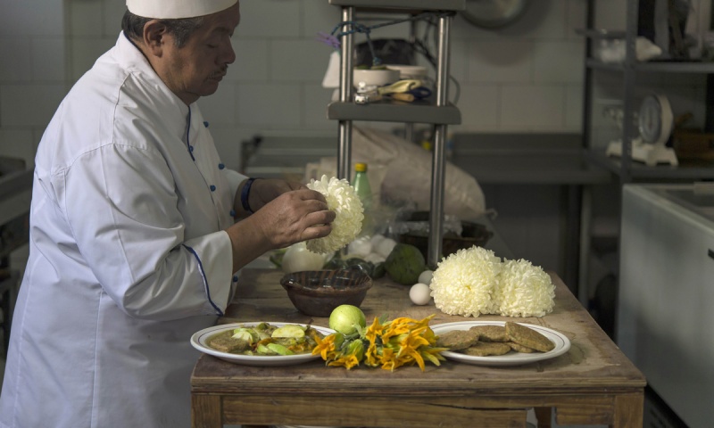 Mosquito eggs: appetizing or not? - Multimedia - DAWN.COM