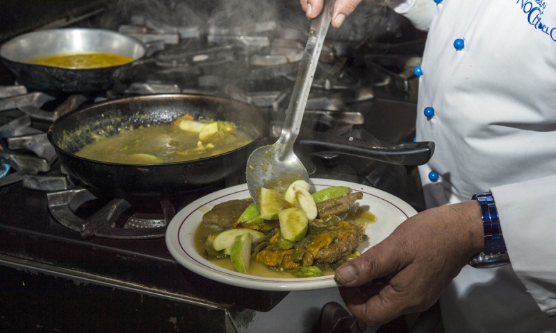 Mosquito eggs: appetizing or not? - Multimedia - DAWN.COM