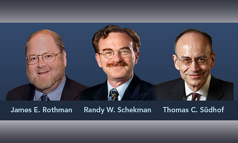 Cellular breakthrough earns trio Nobel for medicine - Newspaper - DAWN.COM