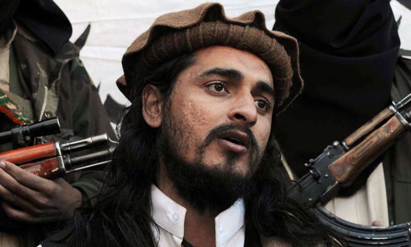 US lawmaker defends drone killing of Hakimullah Mehsud - World - DAWN.COM