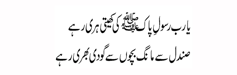 COLUMN: The marsiya as more than an epic - Newspaper - DAWN.COM