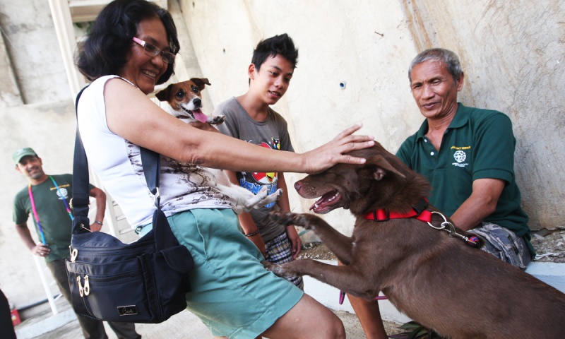 Animal rescue in the Philippines - Multimedia - DAWN.COM