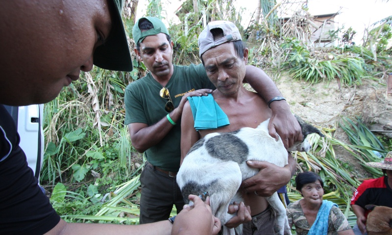 Animal rescue in the Philippines - Multimedia - DAWN.COM