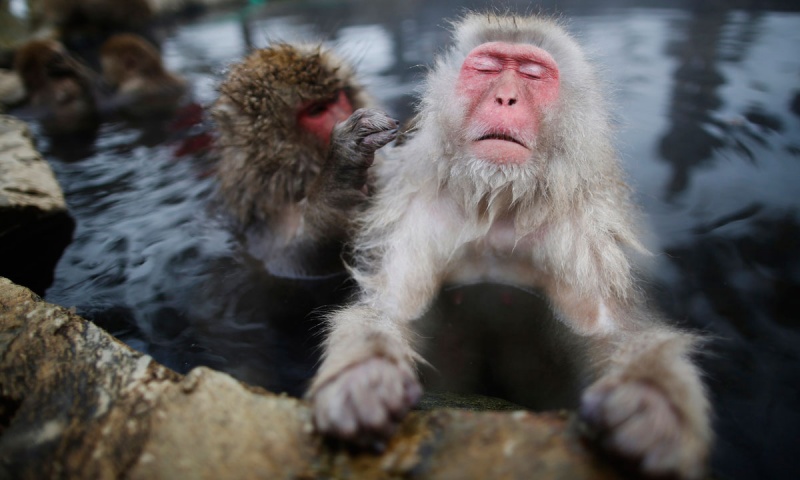 A day at the hotsprings - Multimedia - DAWN.COM