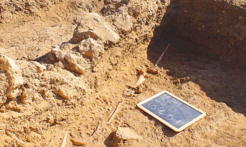 Secrets of a lost port - Pakistan - DAWN.COM