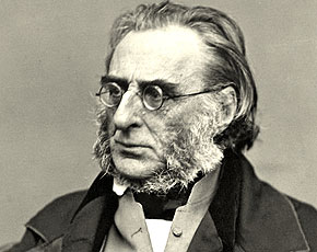 Napier’s bird of gold - DAWN.COM