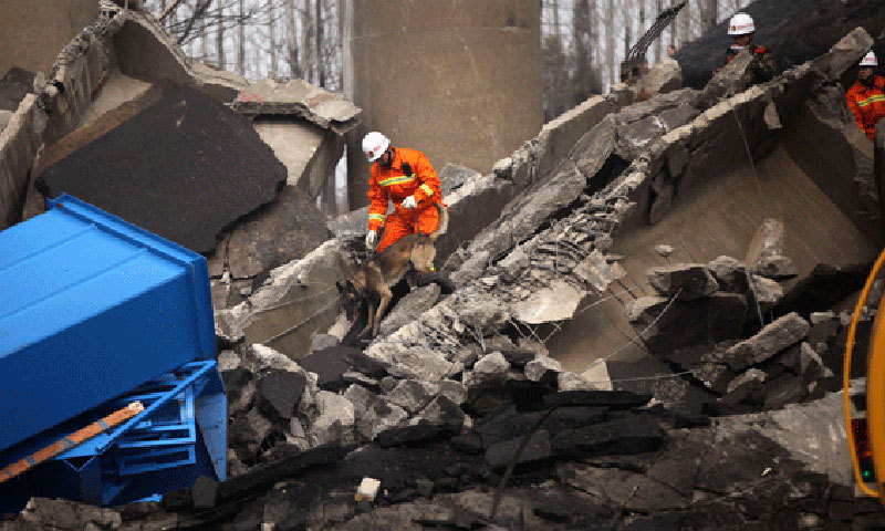 Five dead after bridge collapse in remote Japan atoll - World - DAWN.COM