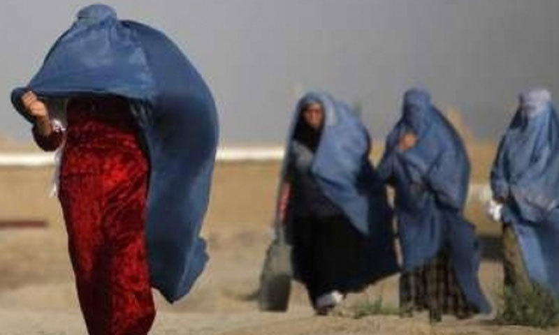 'The difference between black and blue' - Pakistan - DAWN.COM