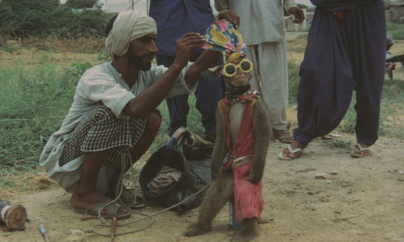 The Pakistan zeitgeists: A nation through the ages - Pakistan - DAWN.COM