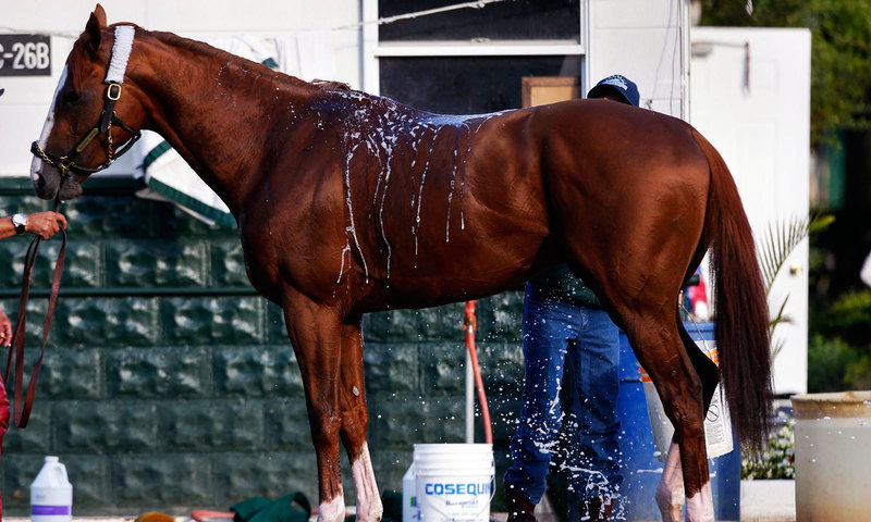 Belmont Stakes: Race for the Triple Crown - World - DAWN.COM