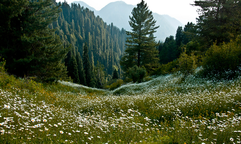 The beautiful side of Pakistan - Pakistan - DAWN.COM