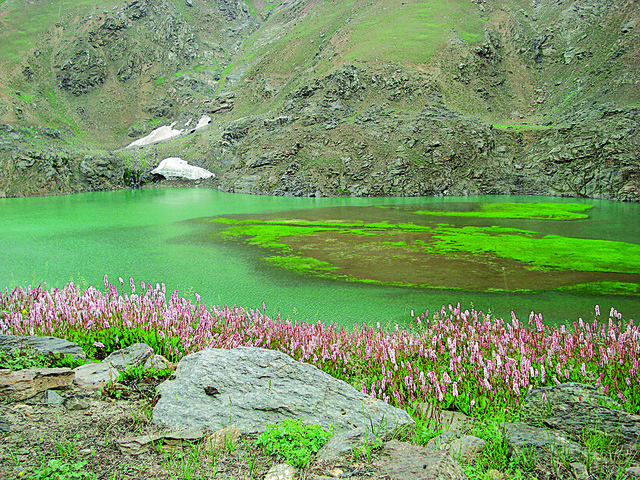 In sync with summer - Pakistan - DAWN.COM