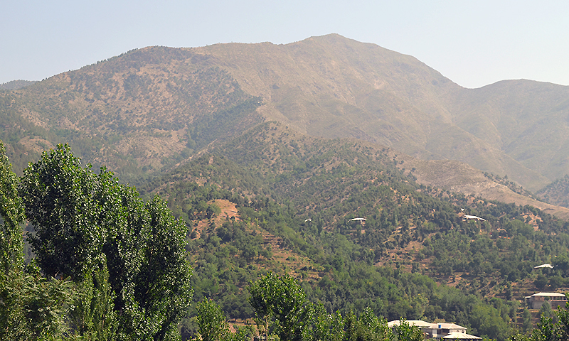 After jihad: Abandoned ... - Pakistan - DAWN.COM