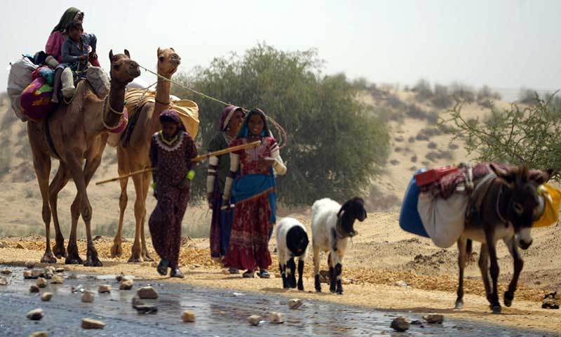 Migration seen through the prism of climate change - Pakistan - DAWN.COM