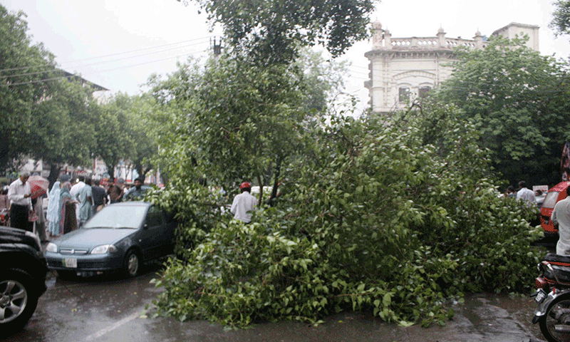 Heavy rains claim at least 40 lives across Punjab - Pakistan - DAWN.COM