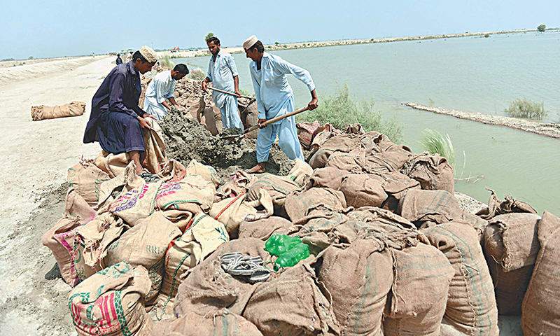 چڑھتا ہوا دریائے سندھ - Pakistan - Dawn News Urdu