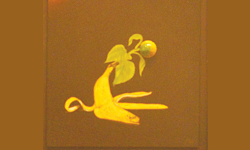 Kanchey opens at Canvas - Newspaper - DAWN.COM