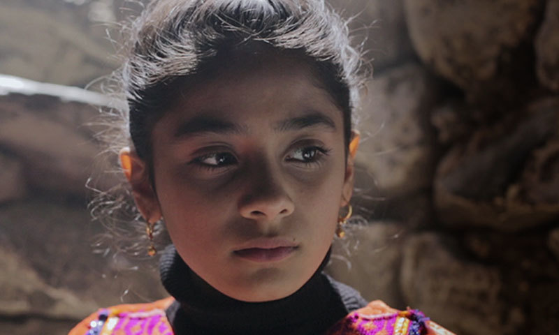 Movie Review: Dukhtar – a story well-told - Pakistan - DAWN.COM