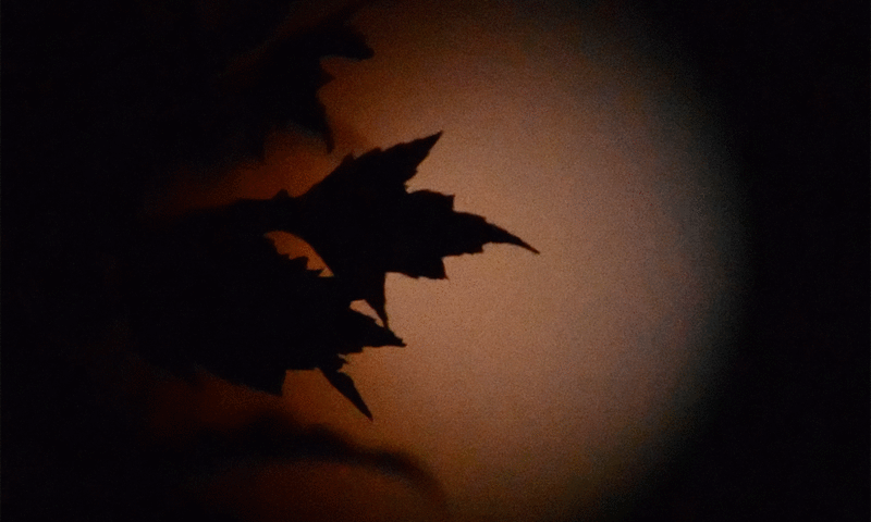 Blood moon: Best pictures of the total lunar eclipse - World - DAWN.COM