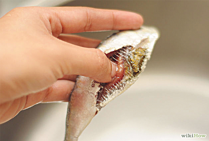 If they smell like fish, it’s too late - Newspaper - DAWN.COM