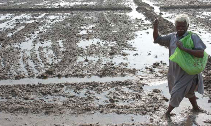 WB approves $138m for Sindh irrigation system - Pakistan - DAWN.COM