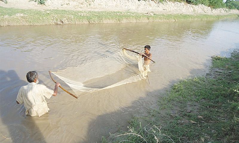 Coastal belt of Sindh: Where only the saints provide solace - Pakistan ...
