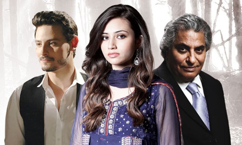 'Goya' – A fast-paced, well-plotted drama - Pakistan - DAWN.COM